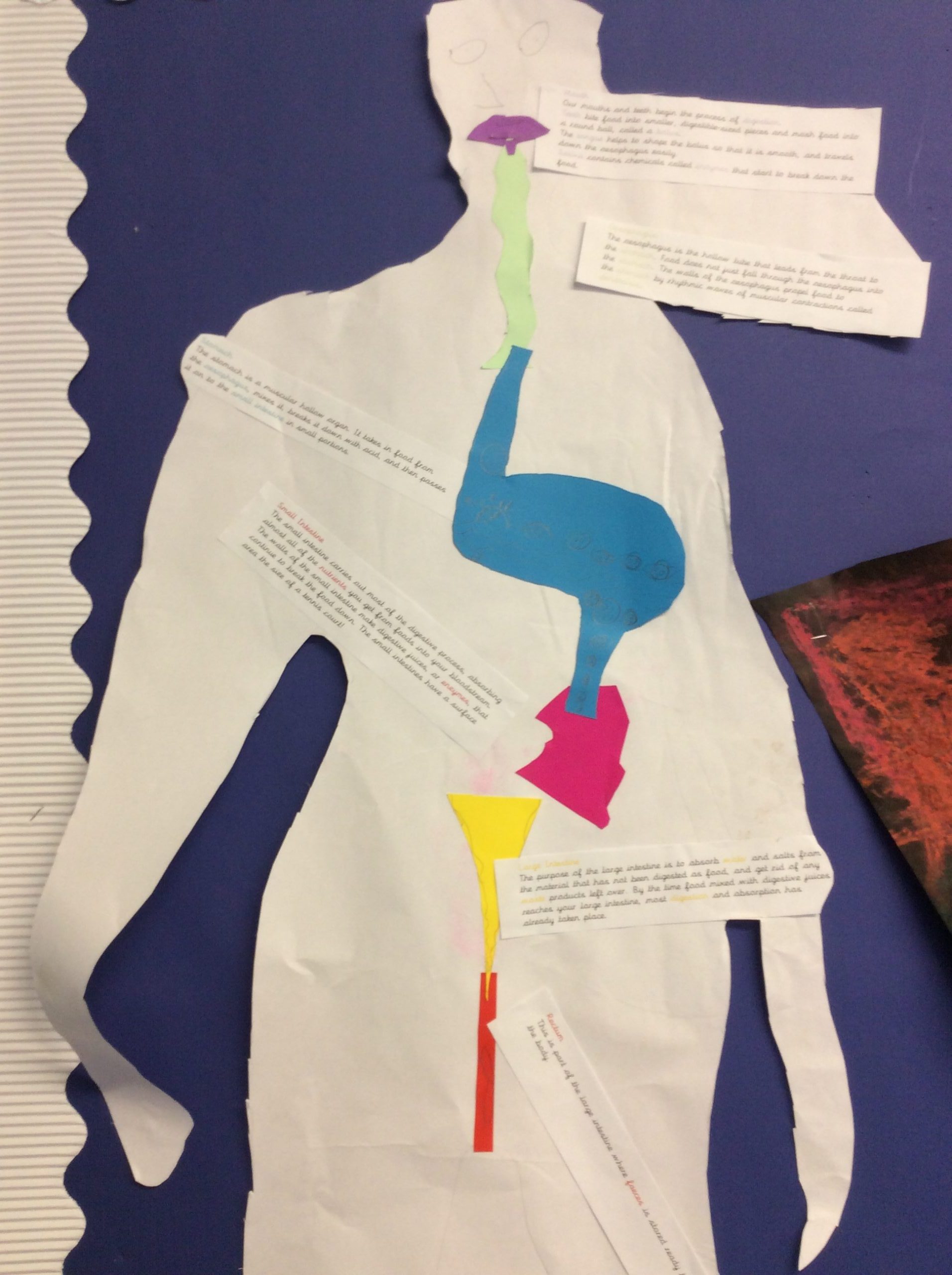Year 4 - Perton Primary Academy